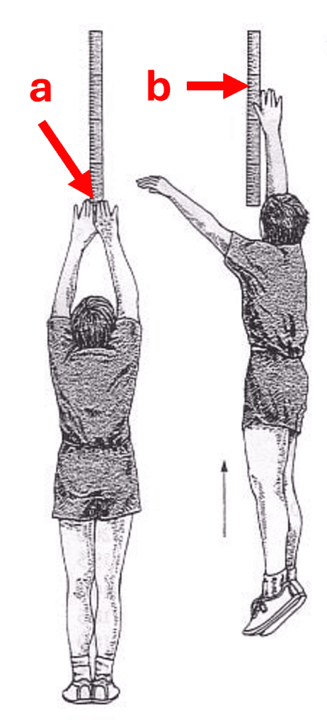 Dashr Laser Vertical Validation – Dashr